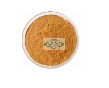 Tea Seed Powder - 杭州阿珥楠进出口有限公司